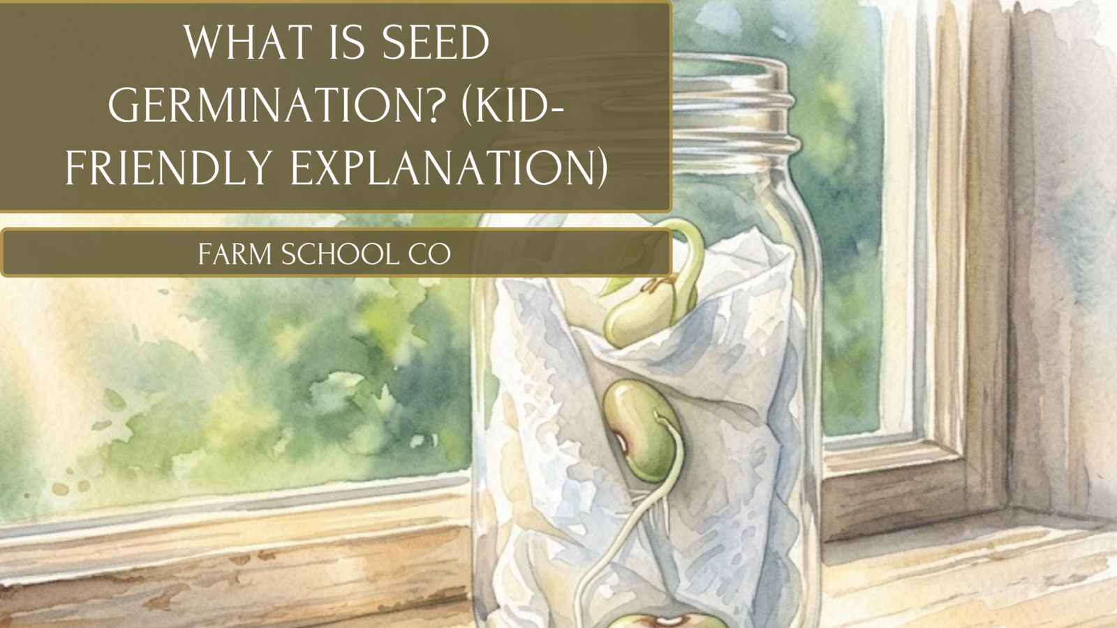 How to Teach Seed Germination with Kids (Simple, Hands-On Science ...