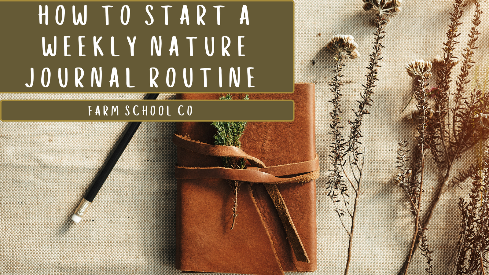 How to Start a Weekly Nature Journal Routine (Without Overwhelm) – Farm ...